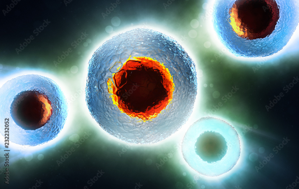 Human (animal) cell under microscope (3D illustration) Stock ...