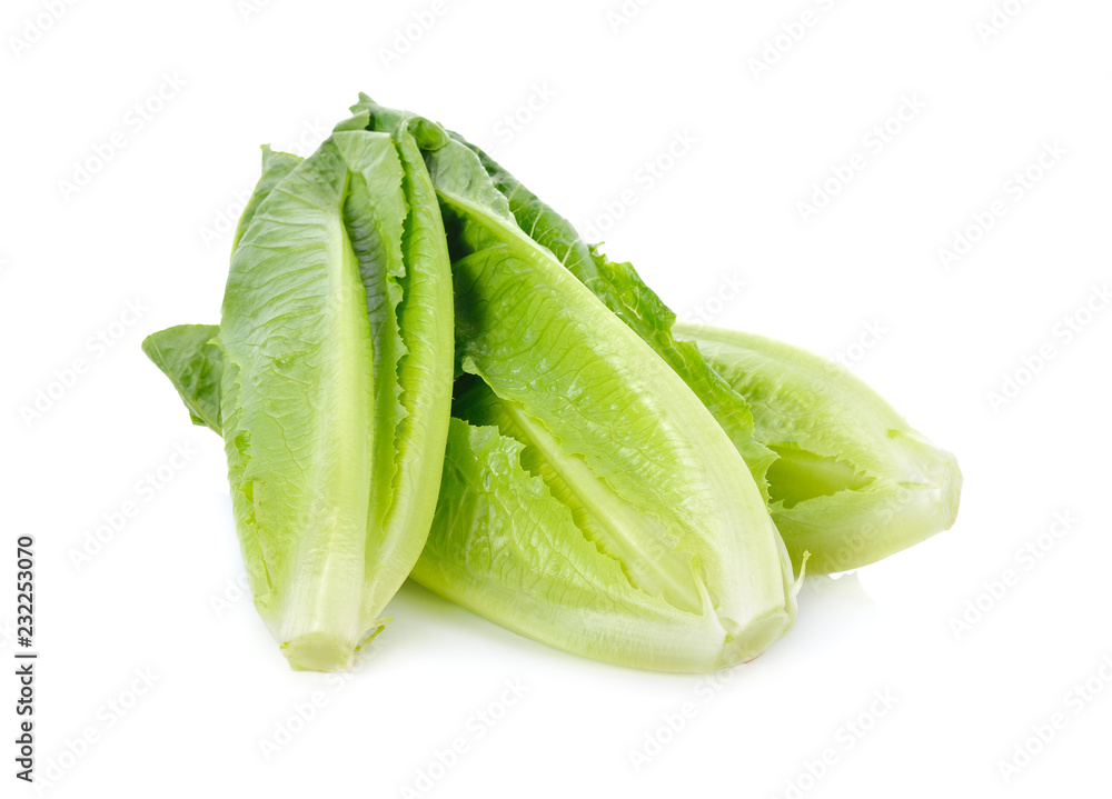 fresh green cos on white background Stock Photo | Adobe Stock