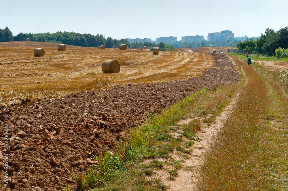 Twisted hay in the field. Bundles of hay. Fields with twisted haystacks ...