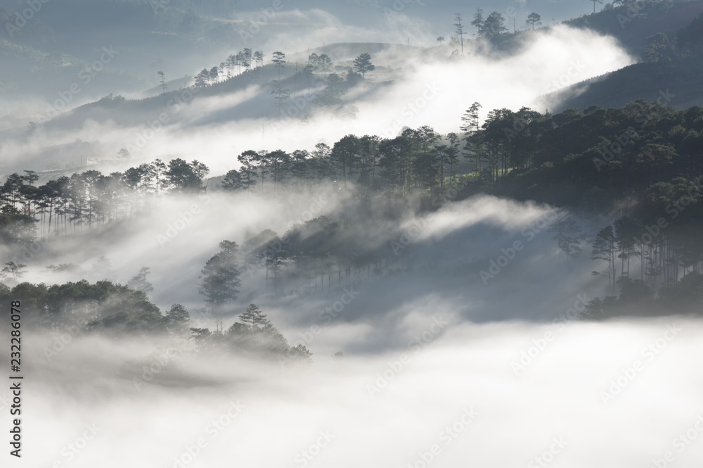 Background with dense fog and magic light at the sunrise. The coffee ...