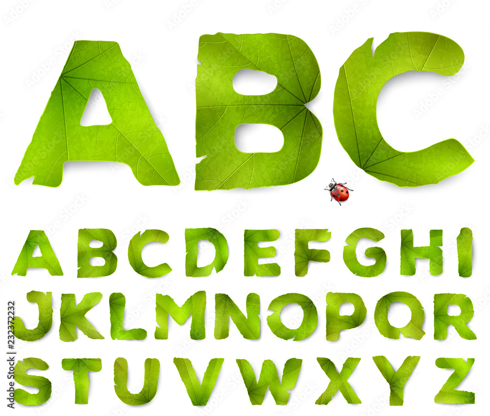 Vector alphabet letters made from green leaves, isolated on white Stock ...