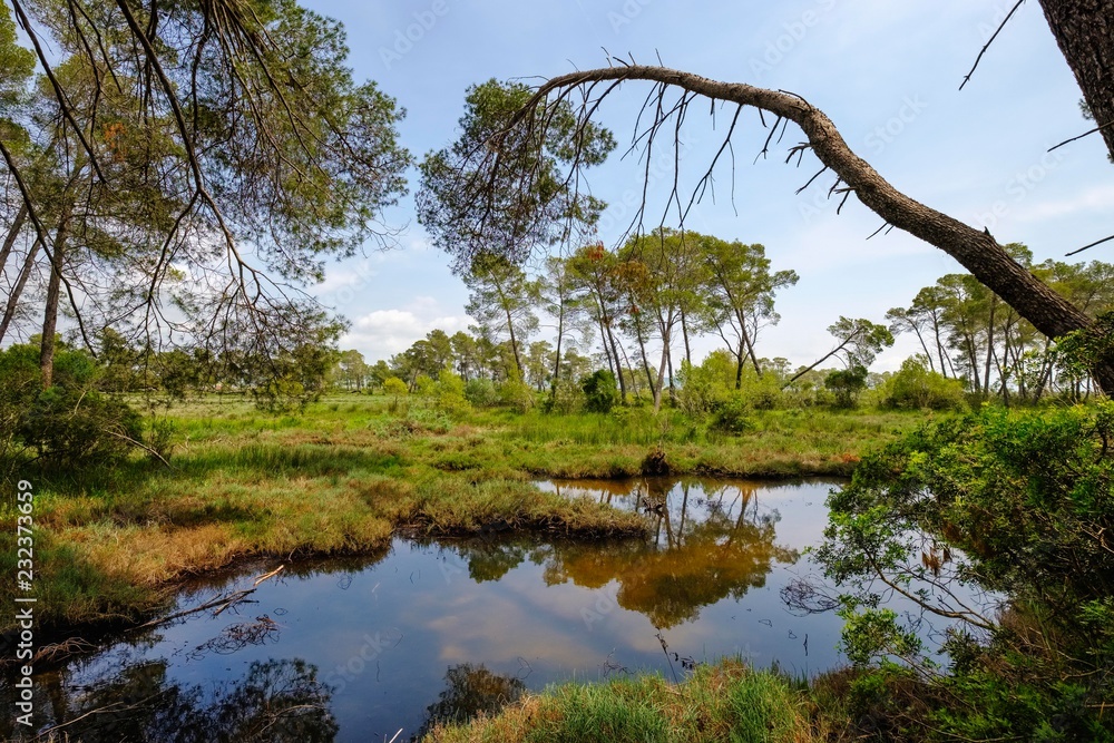 Lagoon of Karavasta, Divjaka-Karavasta National Park, Qier Fier ...