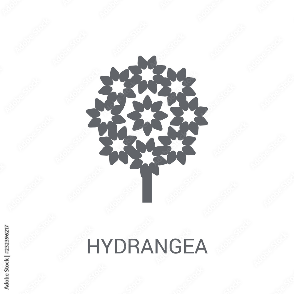 Hydrangea icon. Trendy Hydrangea logo concept on white background from ...