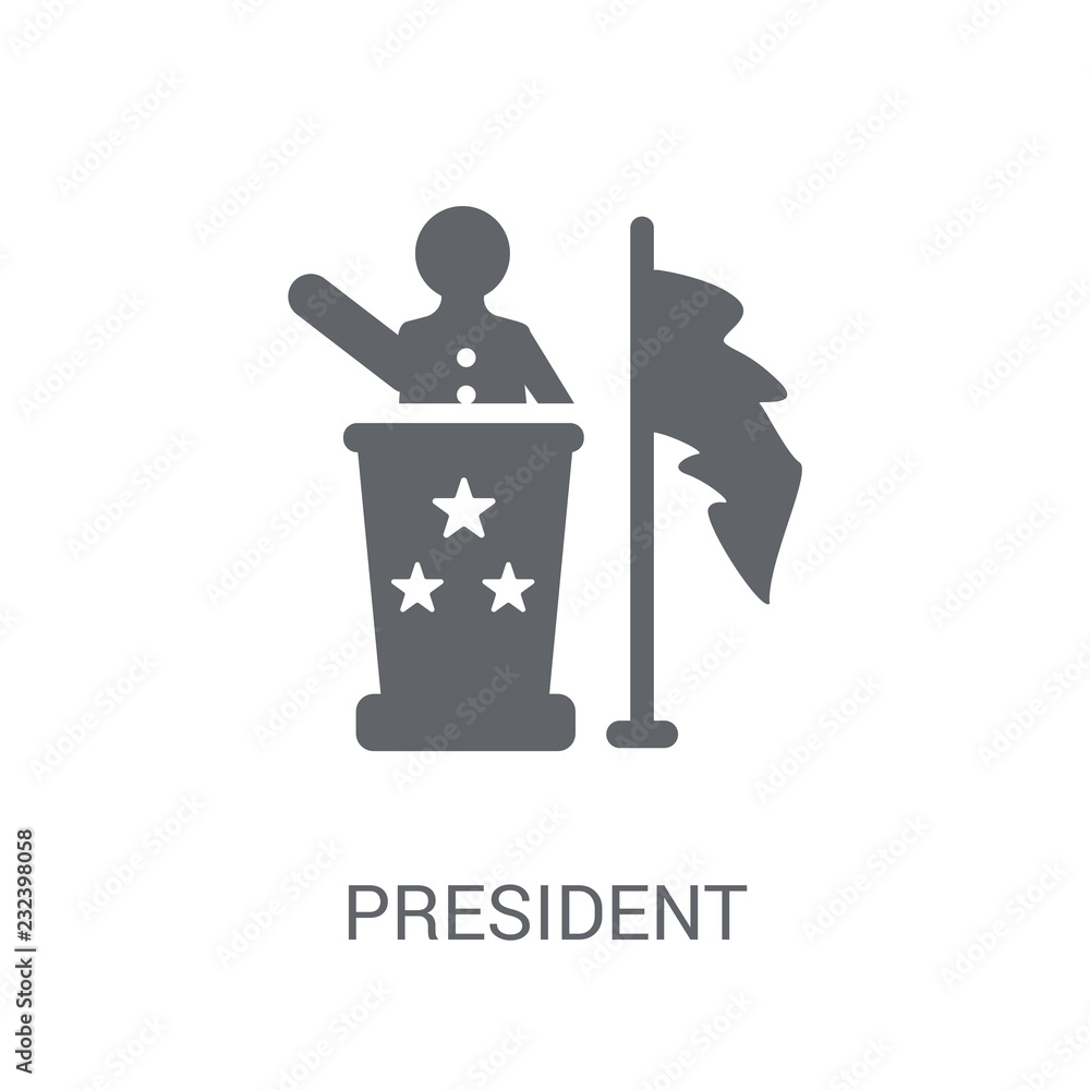 President Icon