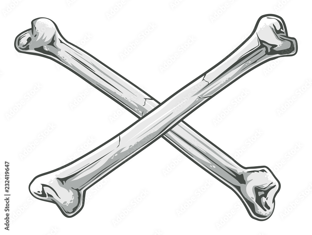 Crossed Bones Stock Vector | Adobe Stock