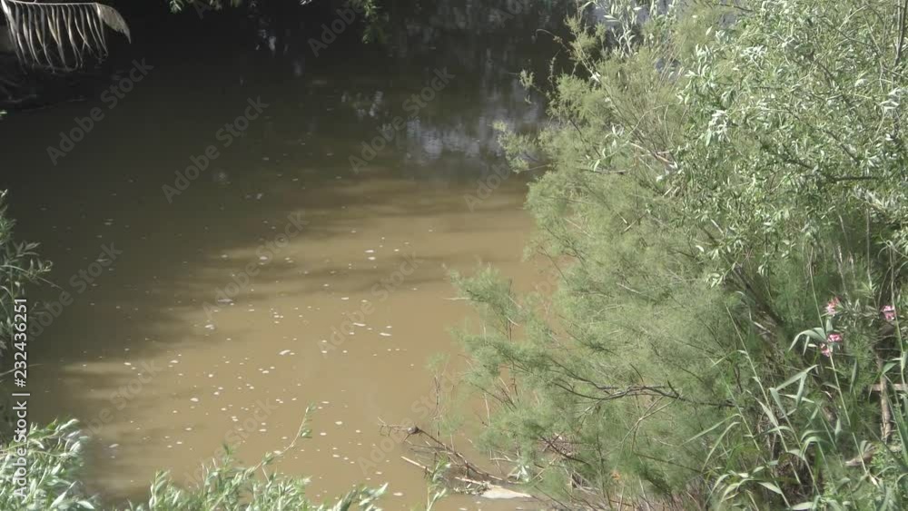 The Biblical Kishon stream and HaAmakim park in northern Israel, where ...