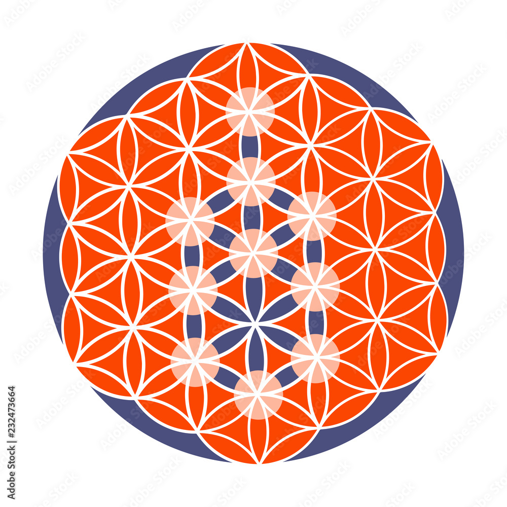 Sacred Geometry vector illustration: Kabbalah Tree of Life on the ...