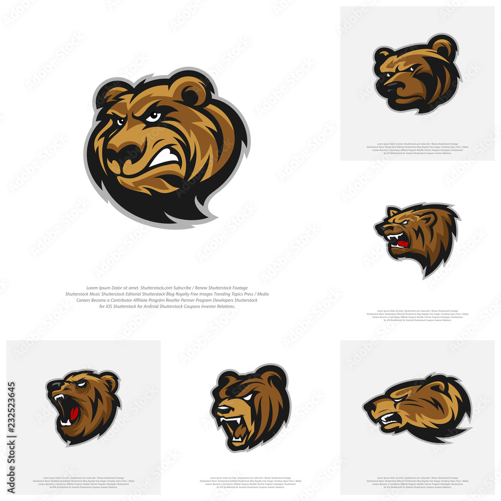 Collection of Bear Logo design vector. Modern professional grizzly bear ...
