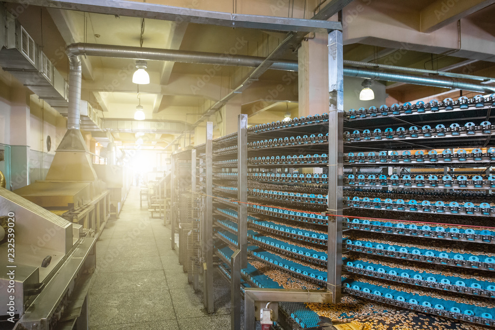Food factory fabrication, industrial conveyor belt or line with process ...