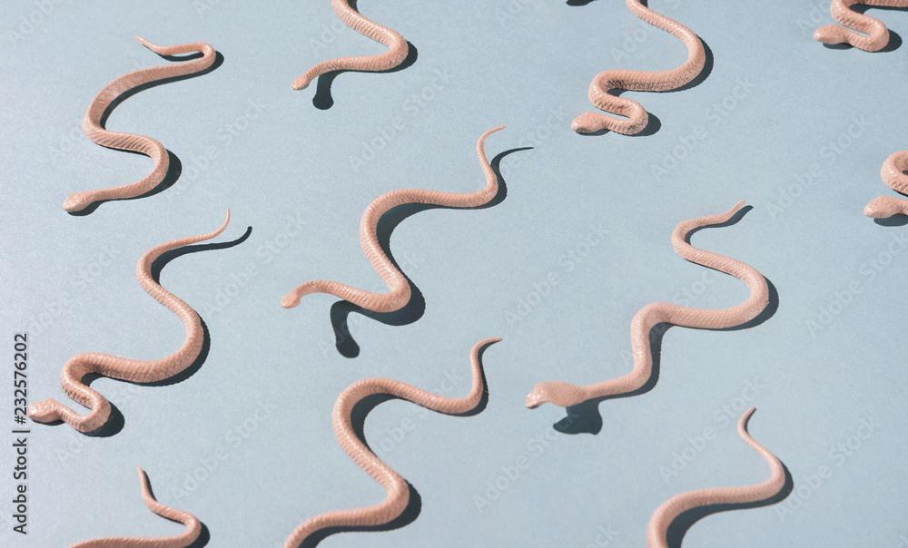 Snakes Stock Photo | Adobe Stock