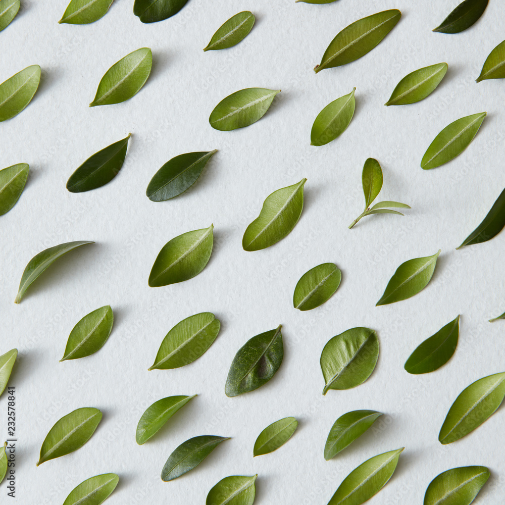 texture background of green leaves Stock Photo | Adobe Stock