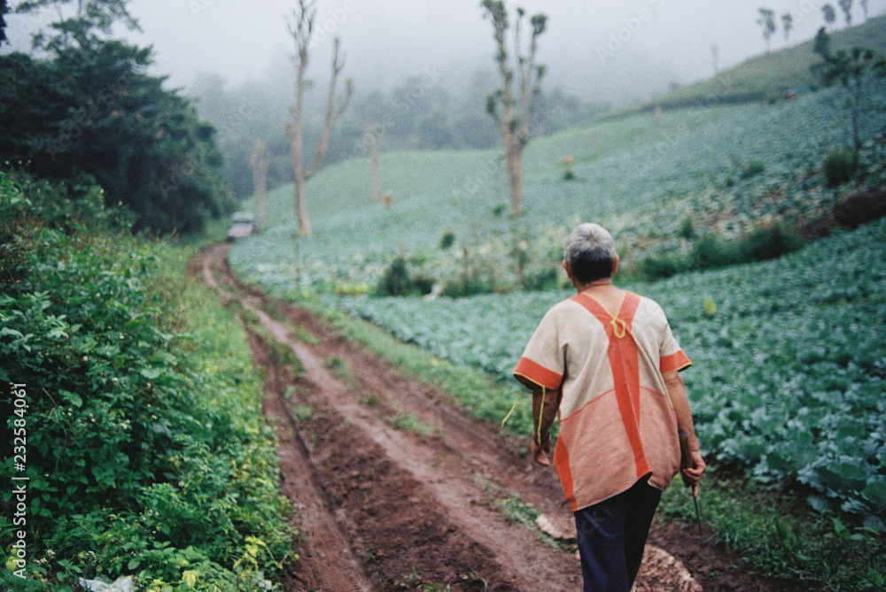 Karen People Stock Photo | Adobe Stock