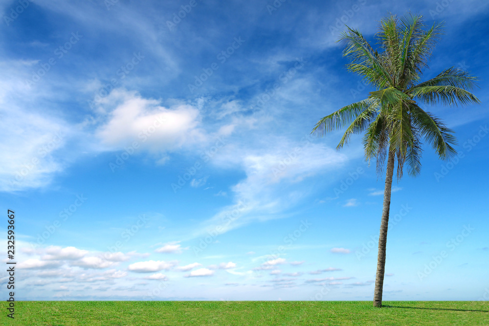 Blue sky and beautiful cloud with coconut tree. Landscape background ...