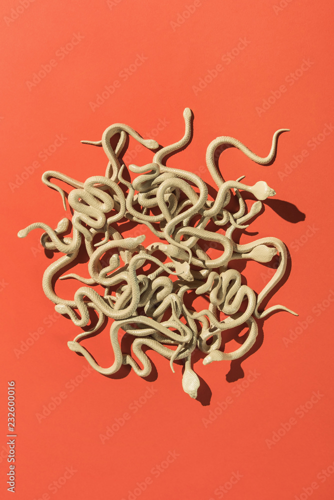 Snakes Stock Photo | Adobe Stock