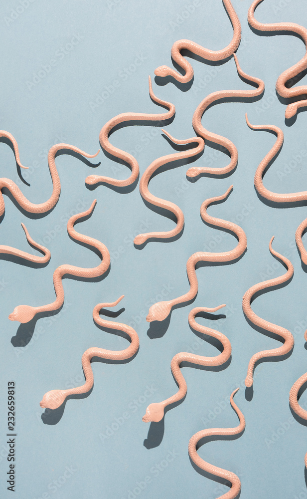 Snakes Stock Photo | Adobe Stock