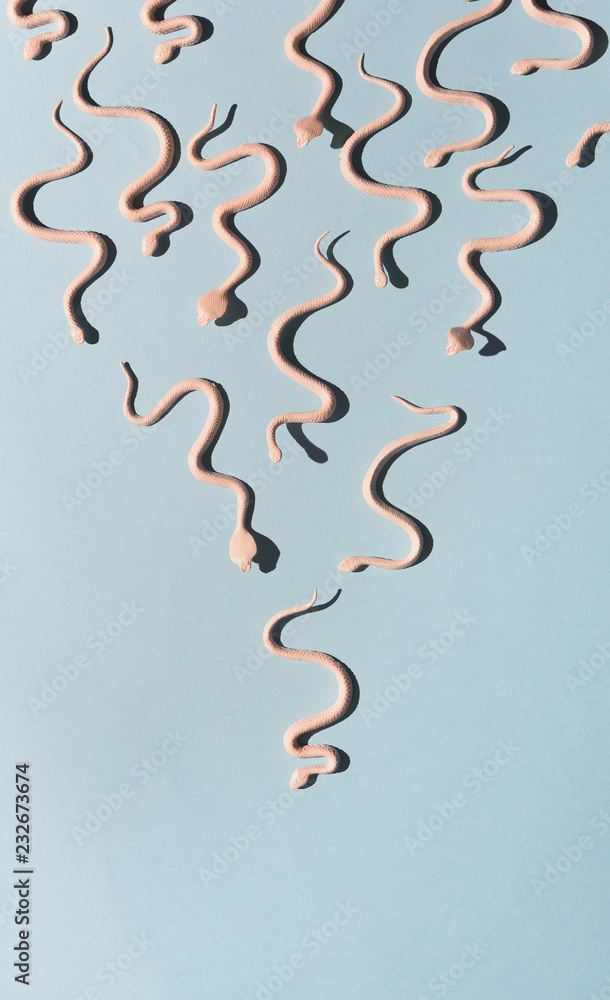 Snakes Stock Photo | Adobe Stock