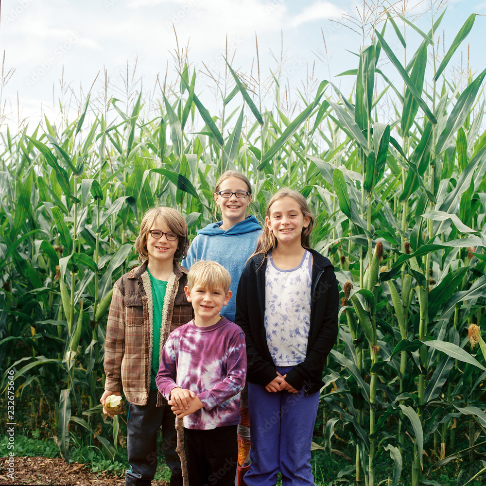 Four kids stand together in a corn maze Stock Photo | Adobe Stock