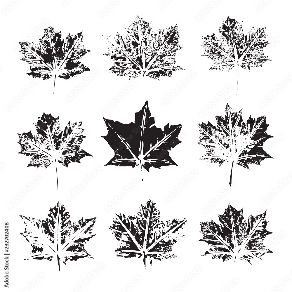Vecteur Stock Set of vector Leaf imprints. Collection of leaves ...