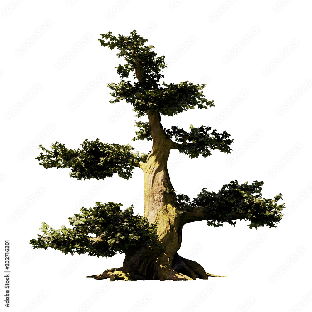 big old fantasy tree, isolated on white background Stock Illustration ...