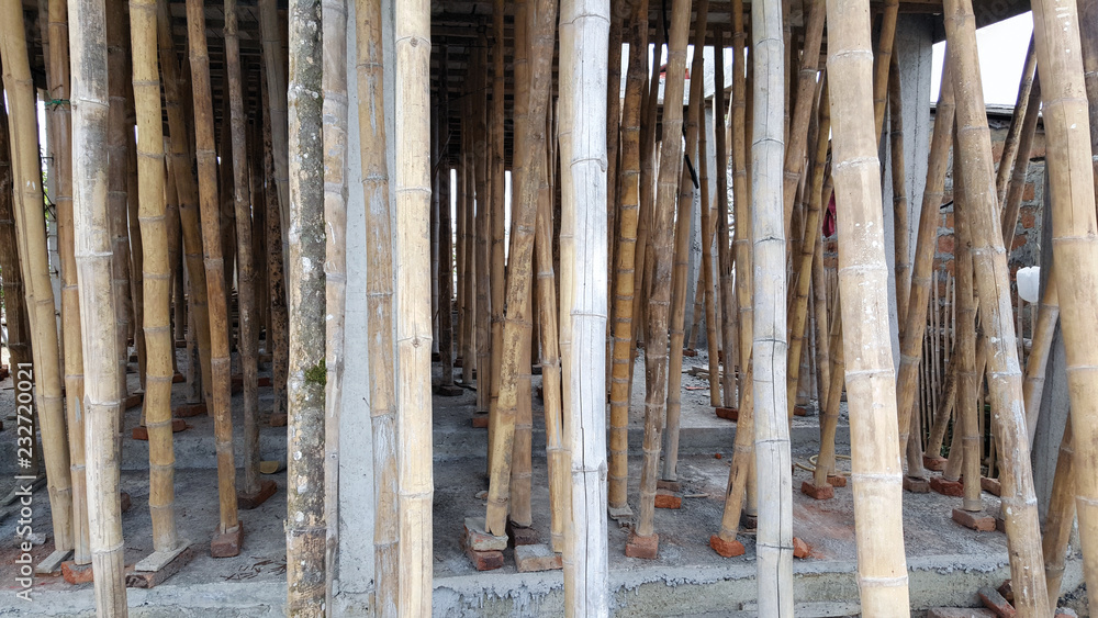 Bamboo pier footings at the beach, San Lorenzo, Ecuador. Stock Photo ...
