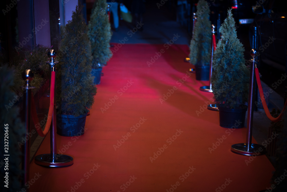 red carpet is traditionally used to mark the route taken by heads of ...