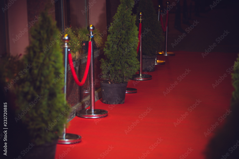 red carpet is traditionally used to mark the route taken by heads of ...