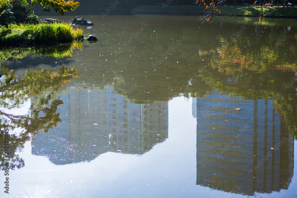 Reflection of buildings and maple trees on a pond in Japanese garden ...