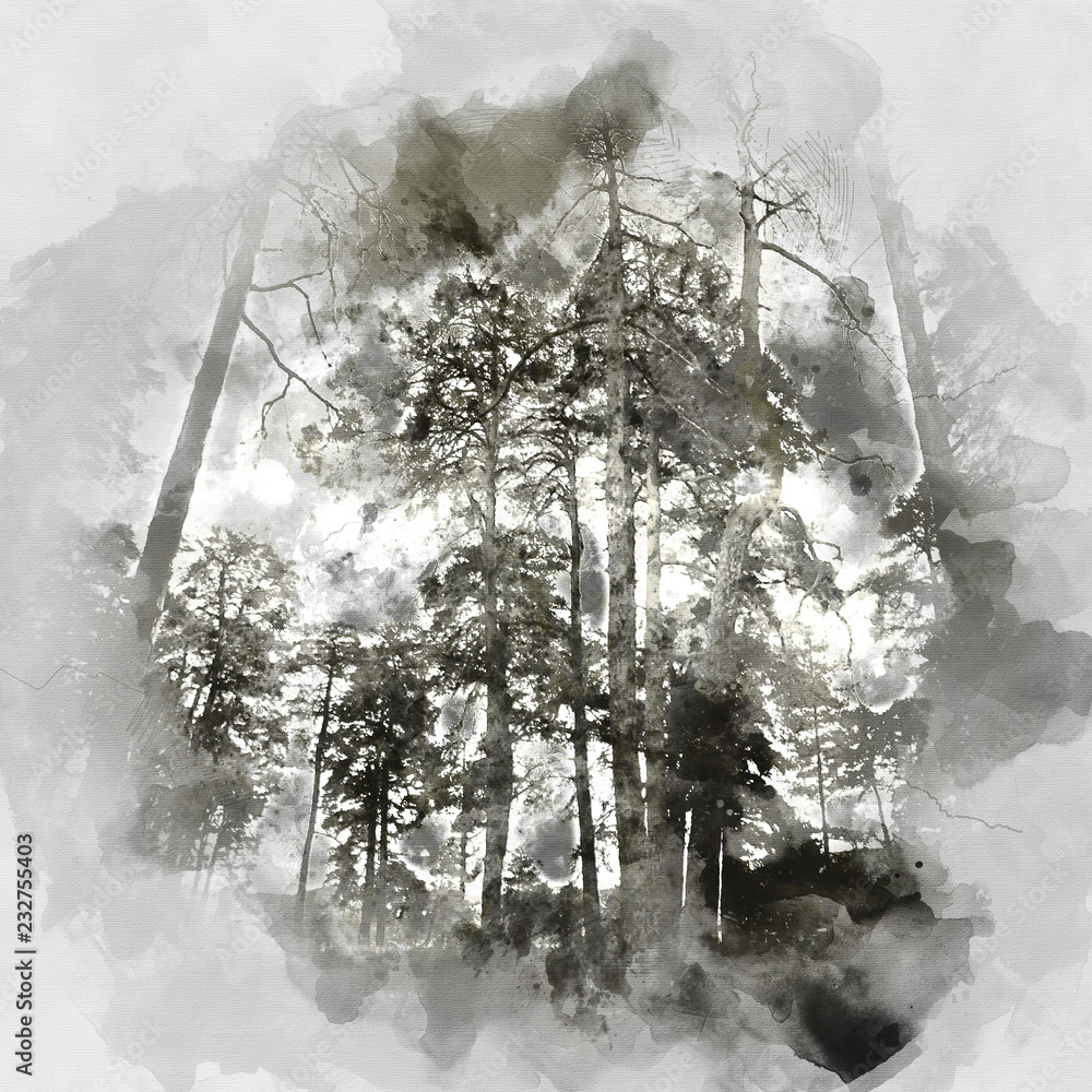 Drawings Of Dark Trees