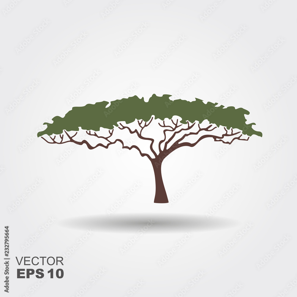 African tree icon, acacia tree silhouette. Flat ixon with shadow Stock ...