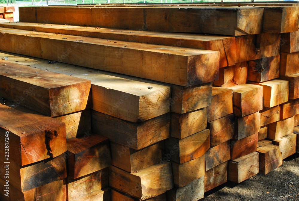 Madera aserrada de bosque naturales de Chile Stock Photo | Adobe Stock