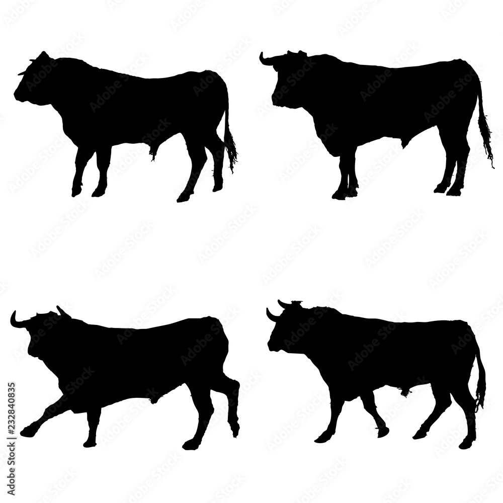 toros Stock Vector | Adobe Stock