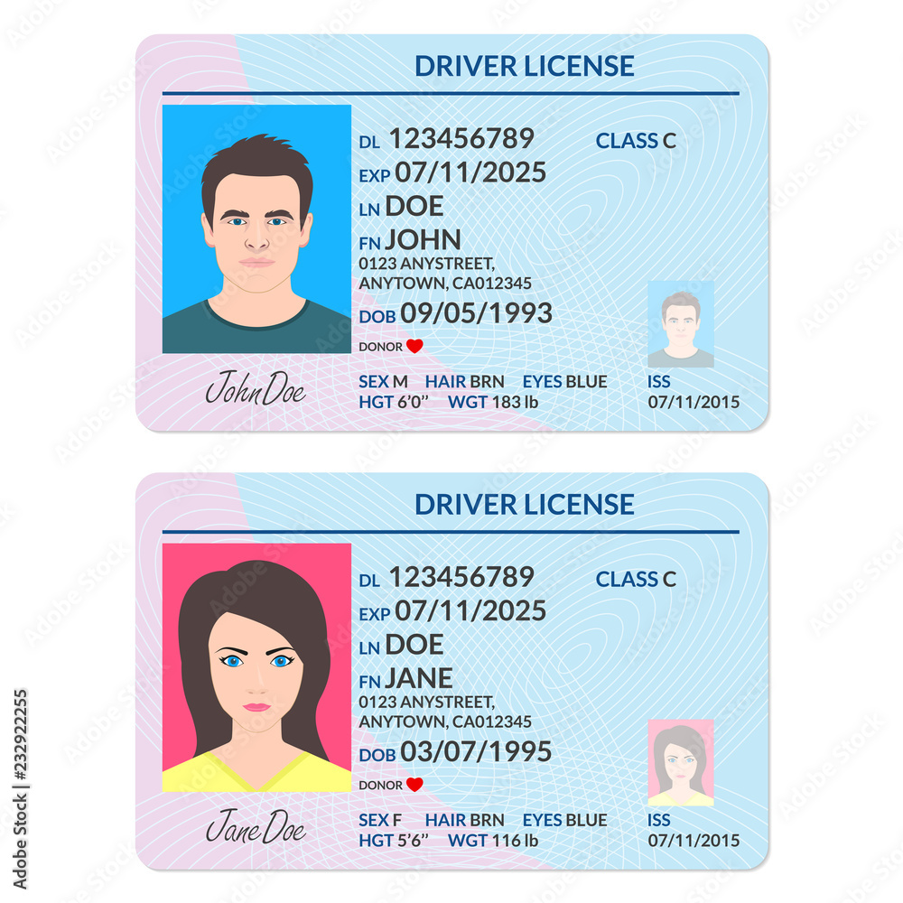 Driver license or ID card with man and woman photo. Identification ...