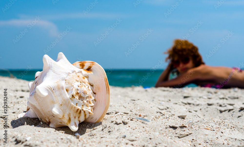 big ocean shell on the sand against the background of a redhead girl ...