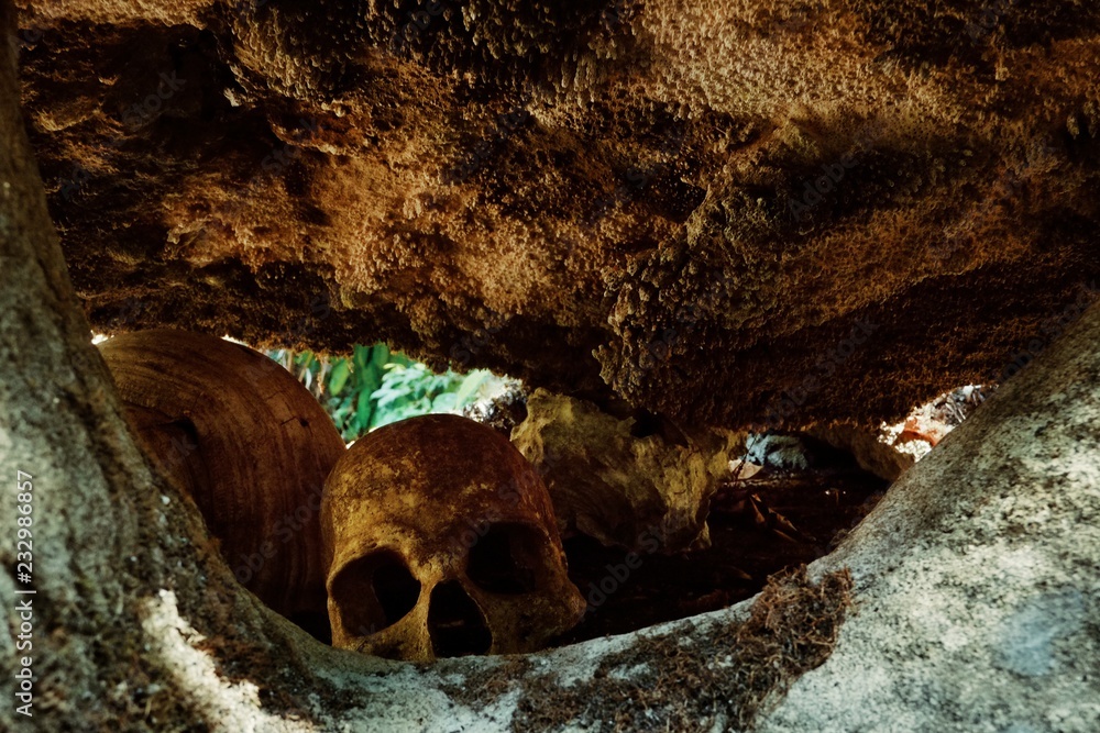 human remains bones and scull at a traditional cannibal site next to a ...