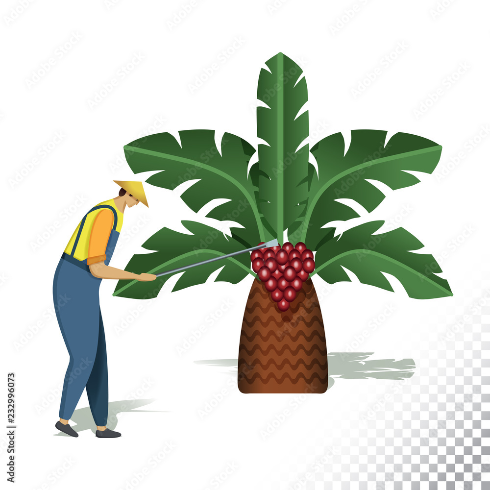Oil Palm Tree Clip Art