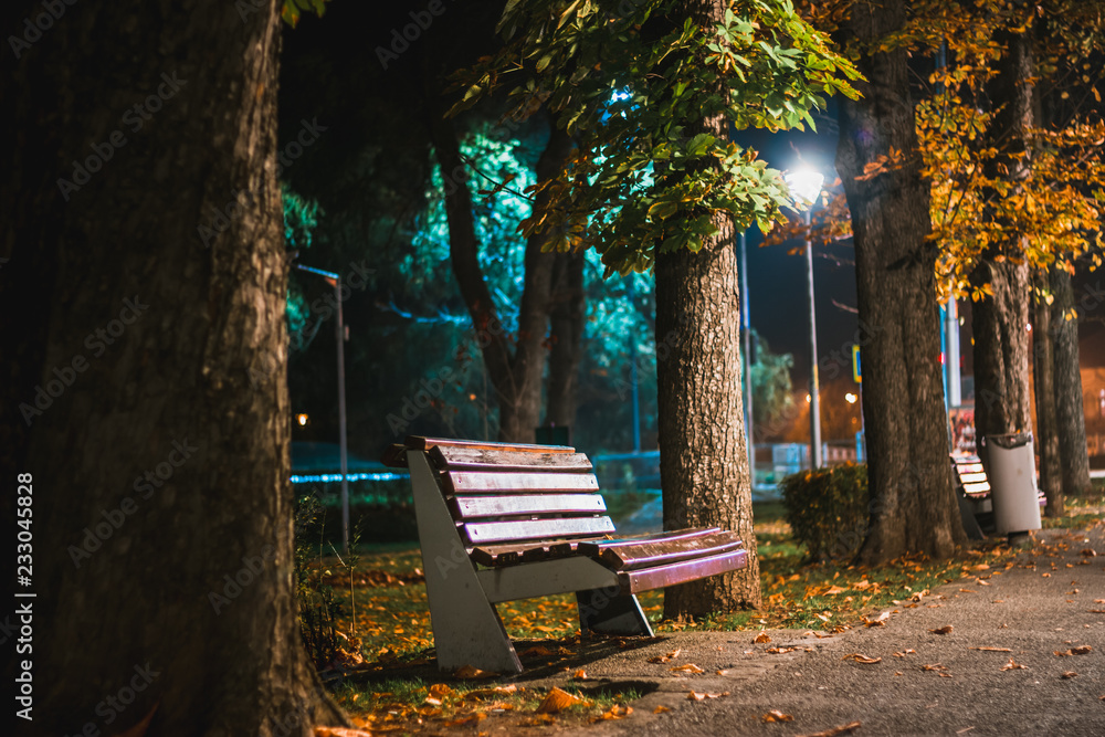 Street Bench At Night