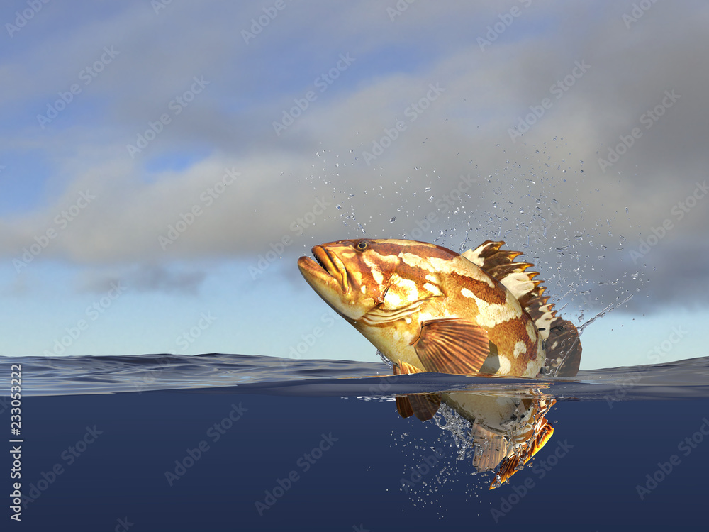 Colorful great grouper fish jumping, half of it in water, speed and ...