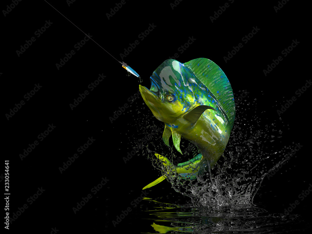Big catch of Mahi mahi dolphinfish in black background with splashes ...