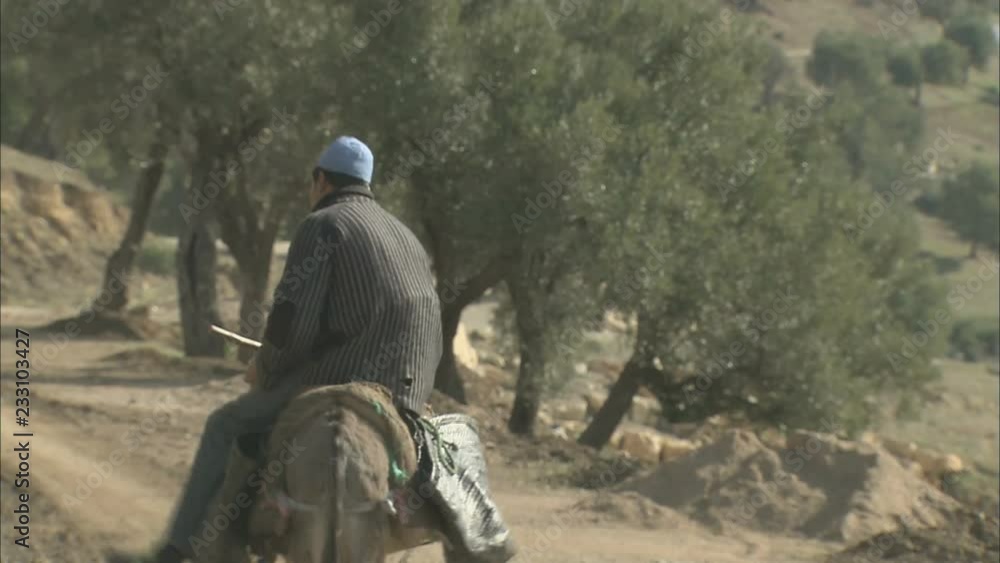 A rural scene of a up of a man riding a working donkey down a dusty ...