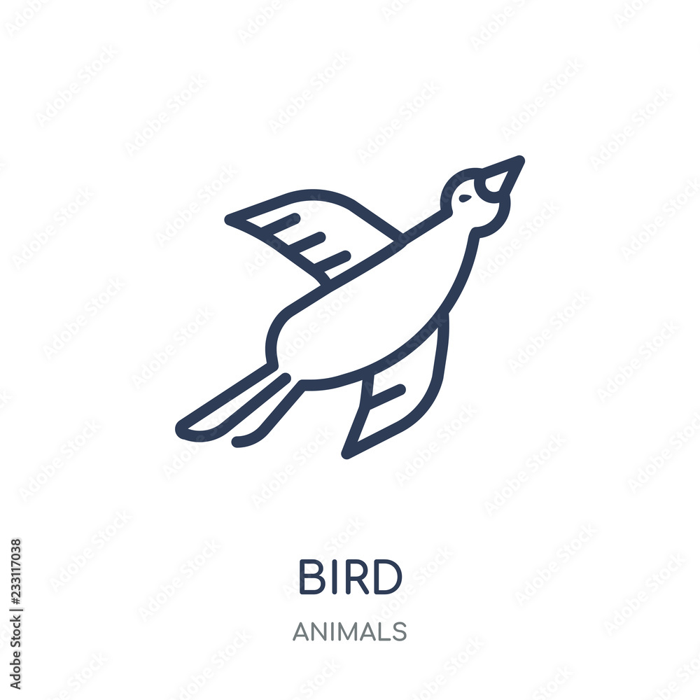 Bird icon. Bird linear symbol design from Animals collection. Stock ...