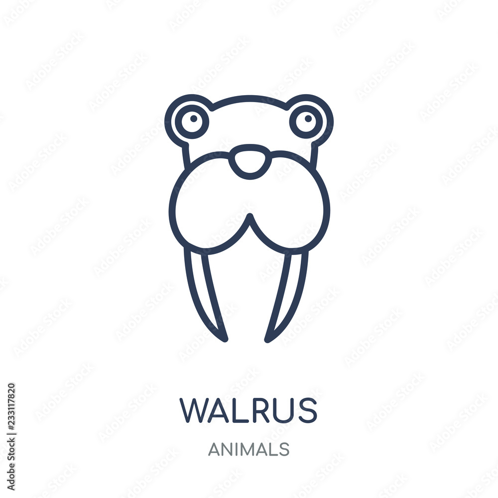 Walrus icon. Walrus linear symbol design from Animals collection. Stock ...