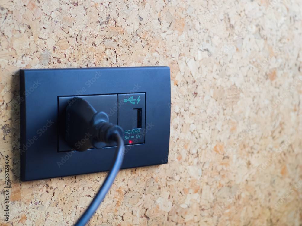 Outlet with built-in USB ports, Charger outlet and USB at wood ...
