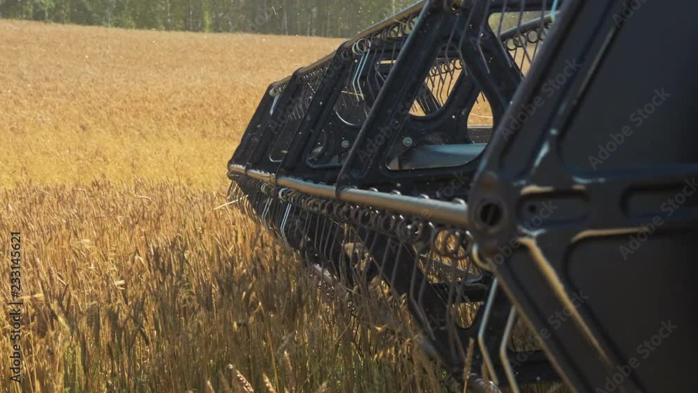 Close up isolation combine harvester blades threshing corn land ...