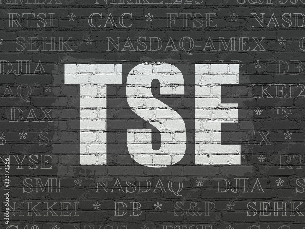 Stock market indexes concept: Painted white text TSE on Black Brick ...