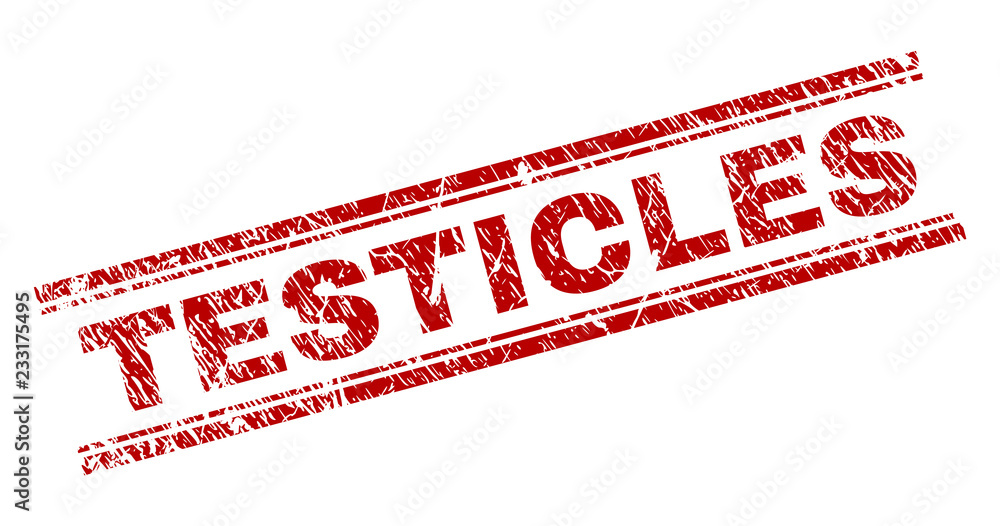 TESTICLES seal print with grunge effect. Red vector rubber print of ...
