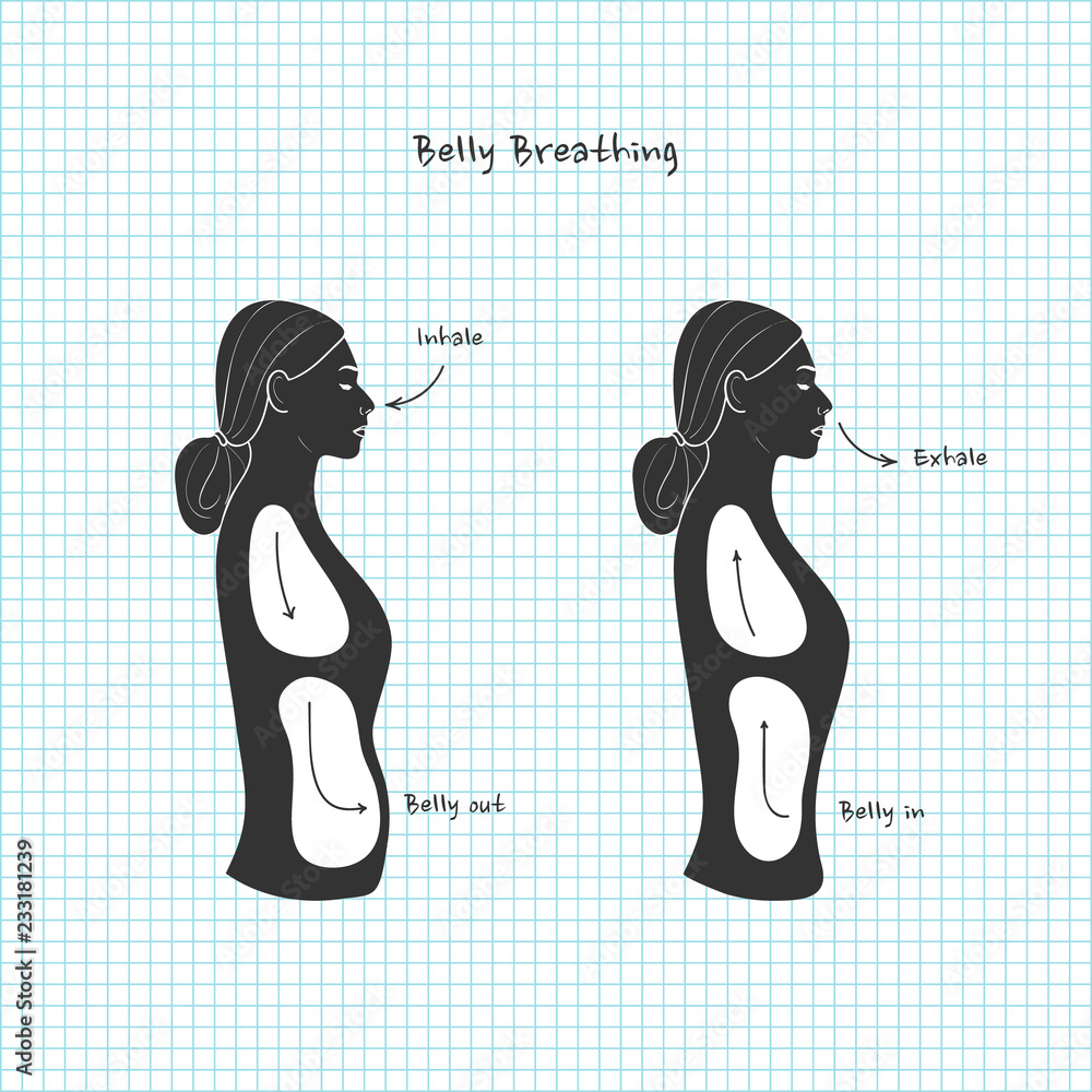 Vetor do Stock: Belly Breathing. Vector. | Adobe Stock