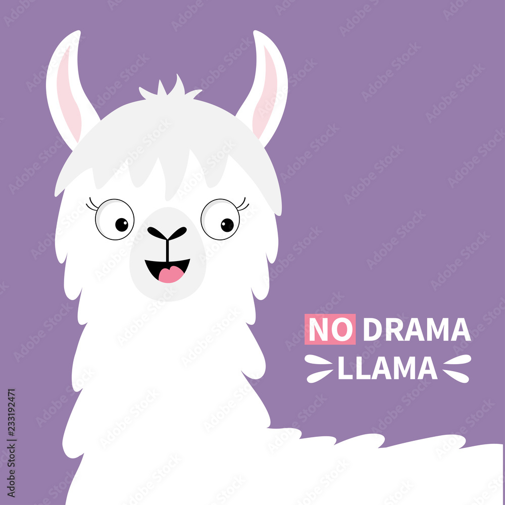 Drama Llama Meme