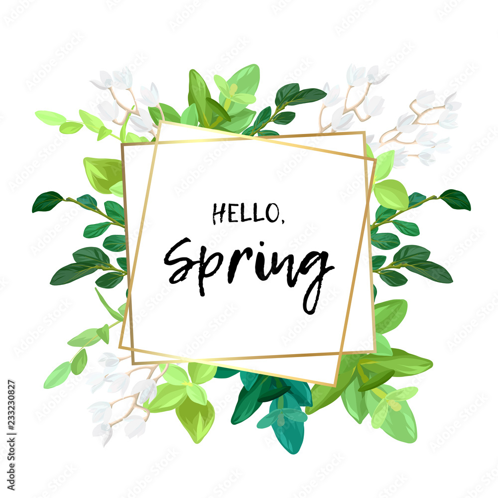 Floral spring design with white may flowers, green leaves, eucaliptus ...