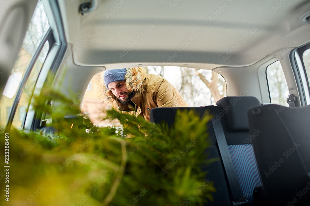 Bearded man loading christmas tree into the trunk of his car, inside ...