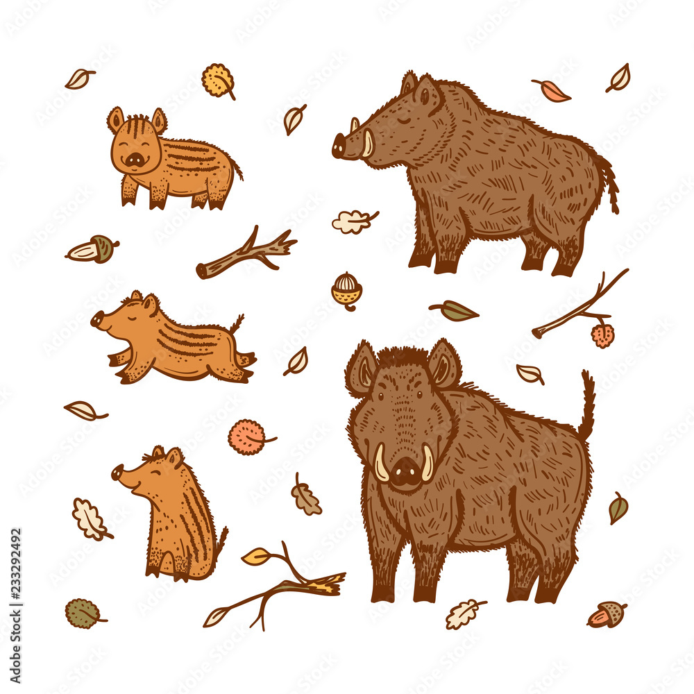 Boars Vector Set. Hand Drawn Doodle Wild Pig and Wild Boar Piglet ...